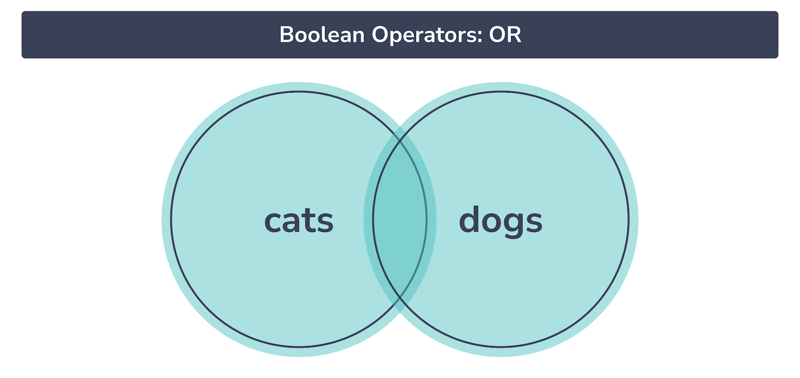Boolean Operators – Alexandria™