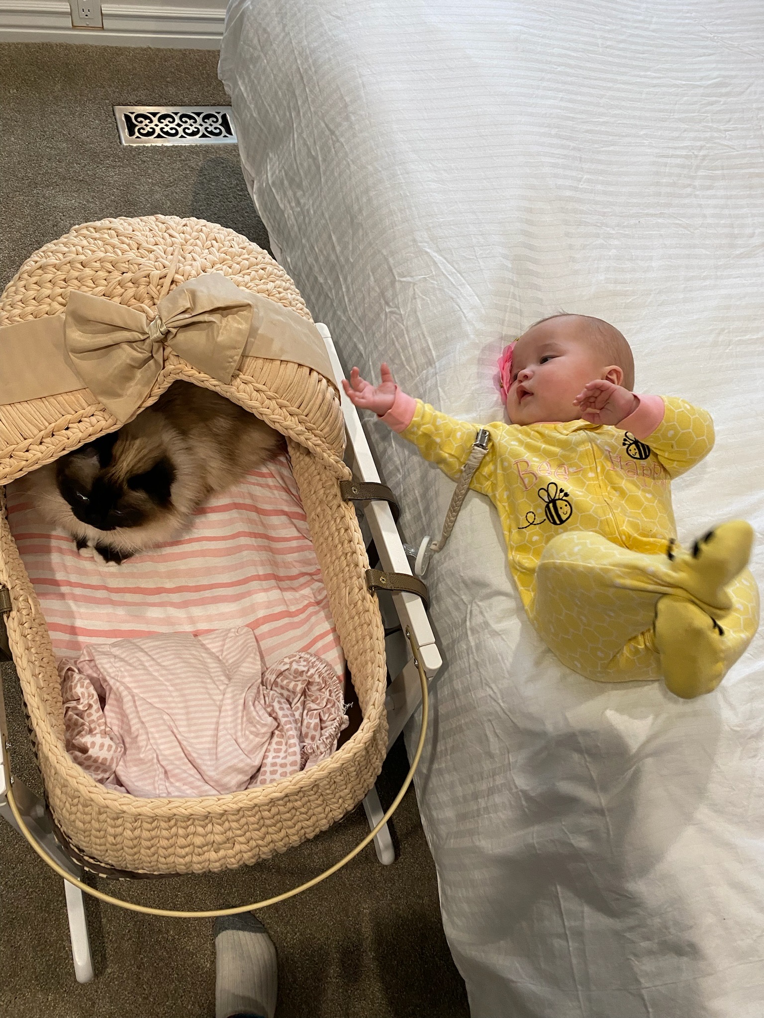 Who’s Who at COMPanion – Alexandria™